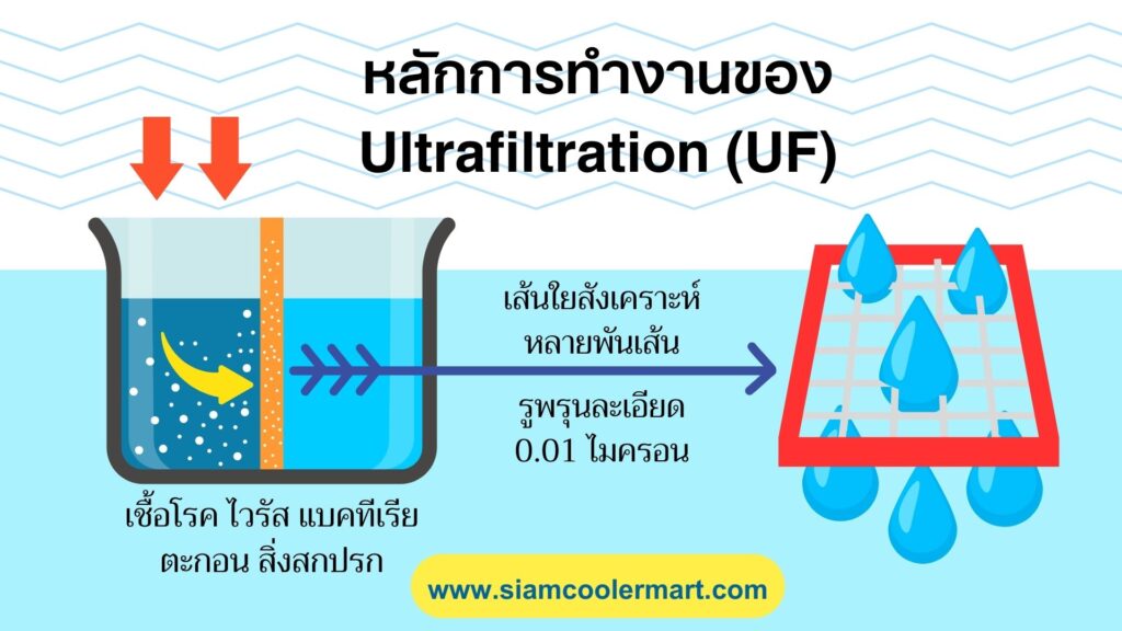 Ultrafiltration (UF) คืออะไร? มีหลักการทำงานยังไง?